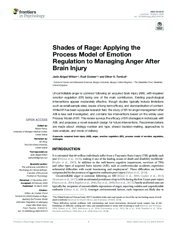 (PDF) Shades of Rage: Applying the Process Model of Emotion Regulation ...