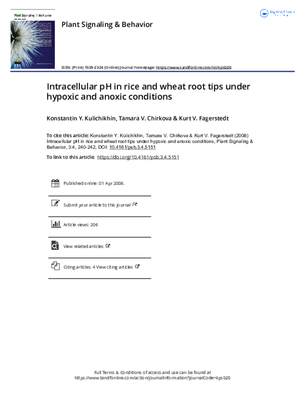 (PDF) Intracellular pH in rice and wheat root tips under hypoxic and ...