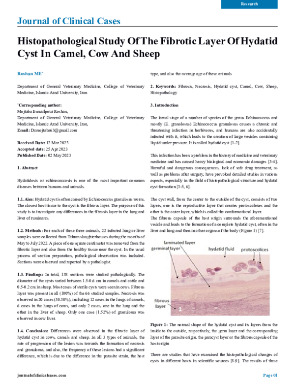 (PDF) Histopathological Study Of The Fibrotic Layer Of Hydatid Cyst In ...