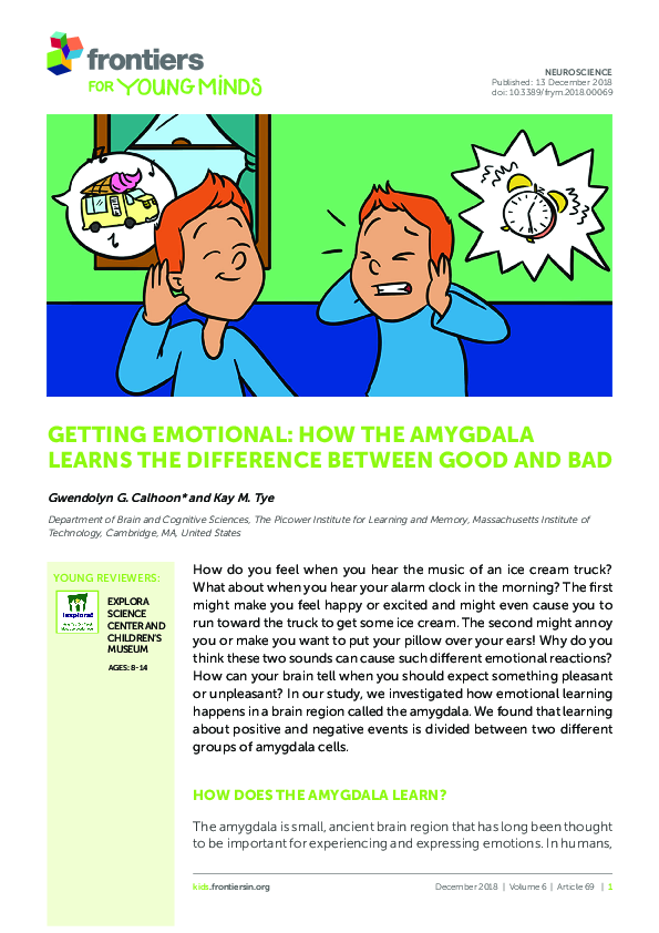 (PDF) Getting Emotional: How the Amygdala Learns the Difference Between ...