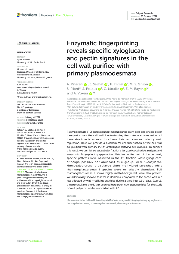 (PDF) Enzymatic fingerprinting reveals specific xyloglucan and pectin ...