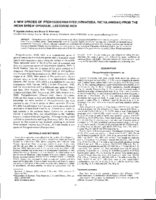 (PDF) A New Species of Pterygodermatites (Nematoda: Rictulariidae) from ...