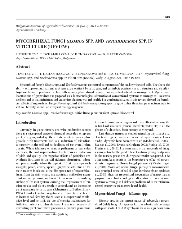 (PDF) Mycorrhizal fungi Glomus spp. and Trichoderma spp. in viticulture (review)