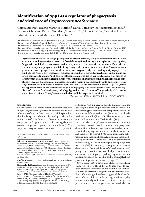 (PDF) Identification of App1 as a regulator of phagocytosis and virulence of Cryptococcus neoformans