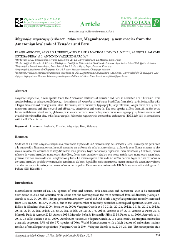 (PDF) Magnolia napoensis (subsect. Talauma, Magnoliaceae): a new ...