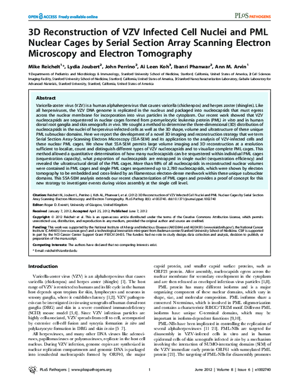 (PDF) 3D Reconstruction of VZV Infected Cell Nuclei and PML Nuclear ...