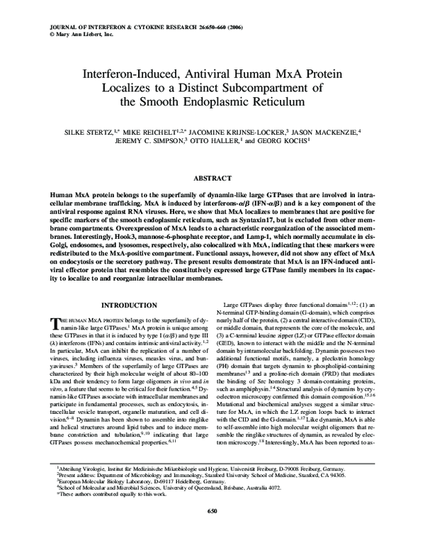(PDF) Interferon-Induced, Antiviral Human MxA Protein Localizes to a ...