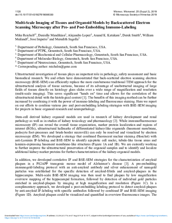 (PDF) Multi-Scale Imaging of Tissues and Organoid Models by Backscattered Electron Scanning ...