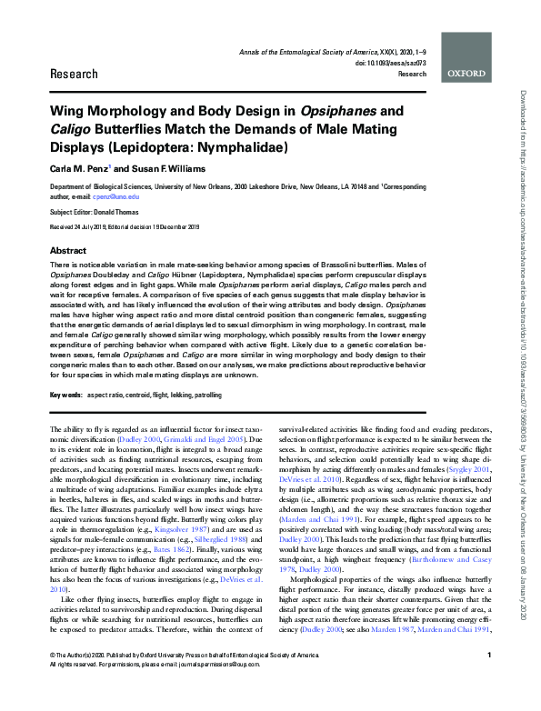 (PDF) Wing Morphology and Body Design in Opsiphanes and Caligo ...