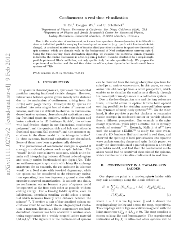 (PDF) Confinement: A real-time visualization