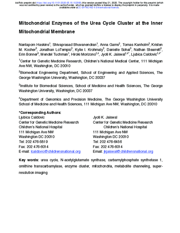 (PDF) Mitochondrial Enzymes of the Urea Cycle Cluster at the Inner ...