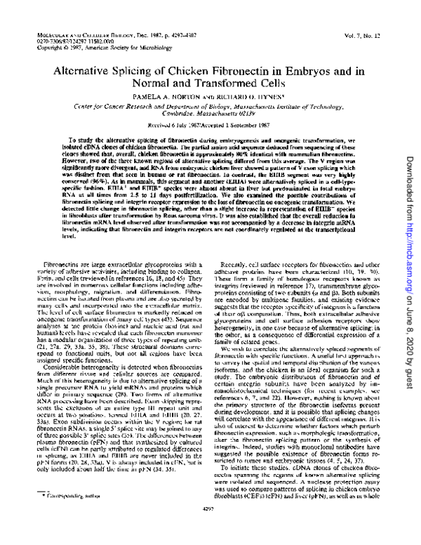 (PDF) Alternative splicing of chicken fibronectin in embryos and in ...