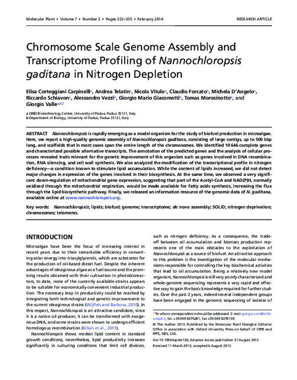 (PDF) Chromosome Scale Genome Assembly and Transcriptome Profiling of ...