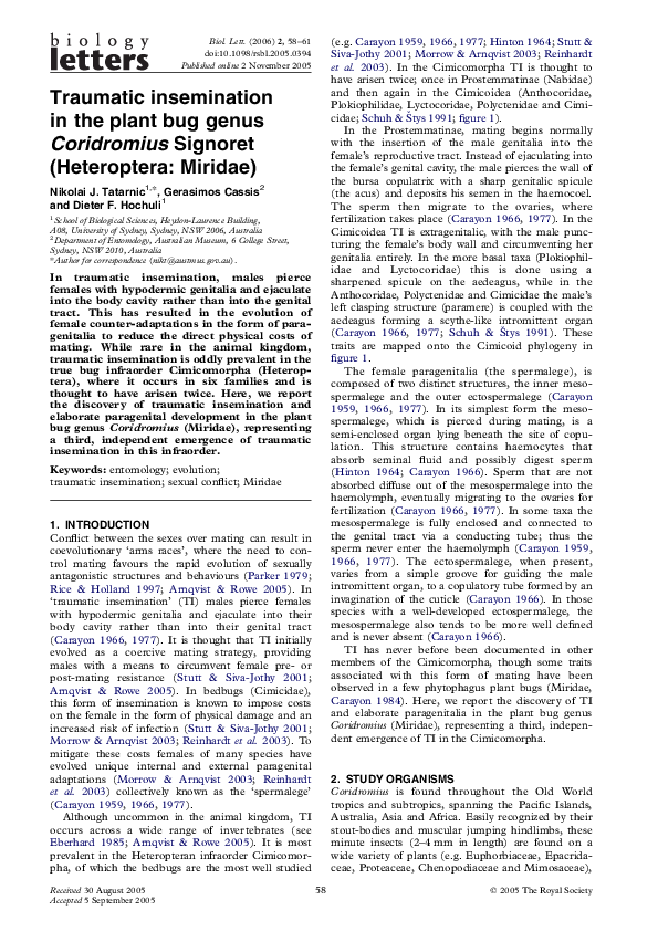 (PDF) Traumatic insemination in the plant bug genusCoridromiusSignoret ...