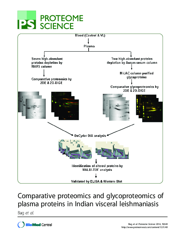 (PDF) Comparative proteomics and glycoproteomics of plasma proteins in ...