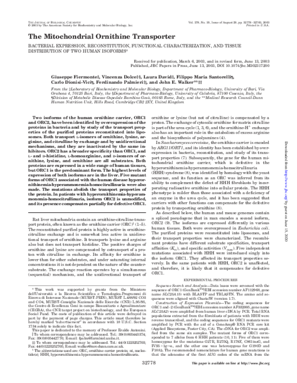 (PDF) The Mitochondrial Ornithine Transporter