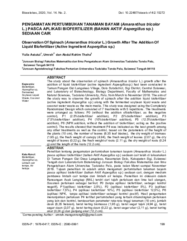 (PDF) PENGAMATAN PERTUMBUHAN TANAMAN BAYAM (Amaranthus tricolor L ...