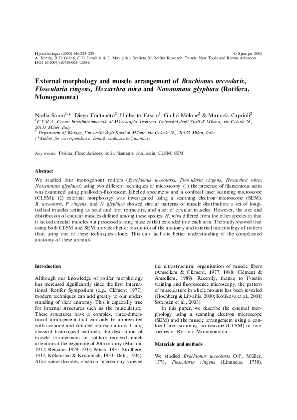 (PDF) External Morphology and Muscle Arrangement of Brachionus ...