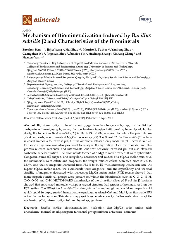 (PDF) Mechanism of Biomineralization Induced by Bacillus subtilis J2 ...
