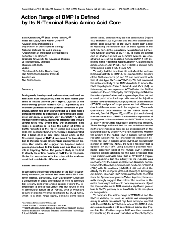 (PDF) Action Range of BMP Is Defined by Its N-Terminal Basic Amino Acid ...