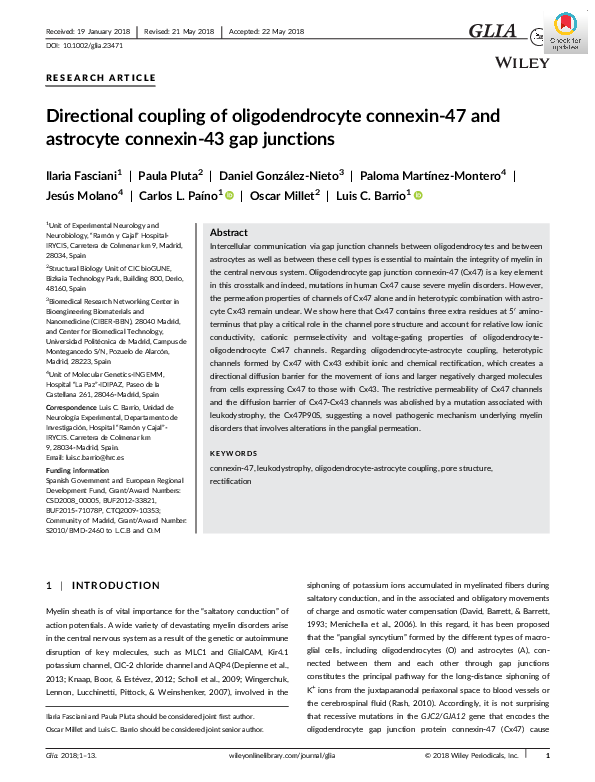 (PDF) Directional coupling of oligodendrocyte connexin‐47 and astrocyte ...
