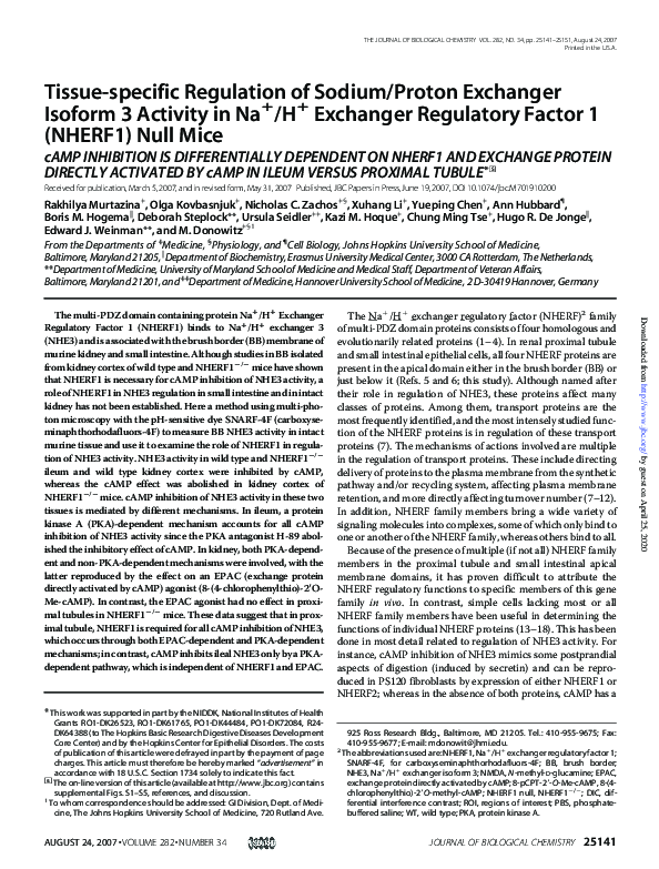 (PDF) Tissue-specific Regulation of Sodium/Proton Exchanger Isoform 3 Activity in Na+/H+ ...
