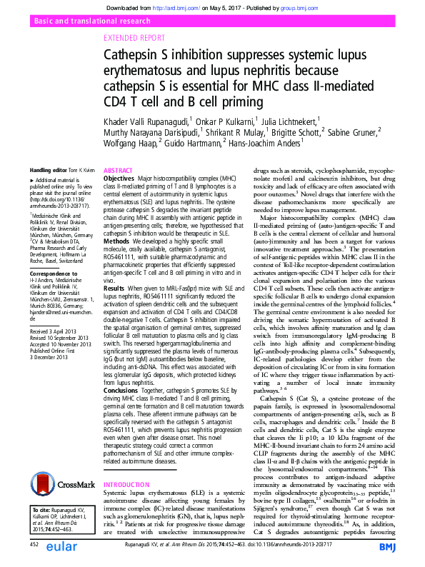 (PDF) Cathepsin S inhibition suppresses systemic lupus erythematosus and lupus nephritis because ...