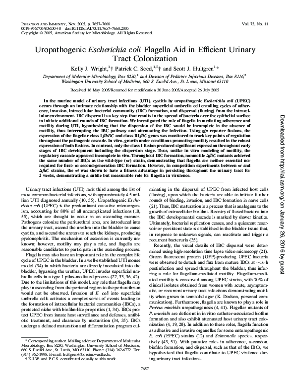 (PDF) Uropathogenic Escherichia coli Flagella Aid in Efficient Urinary ...