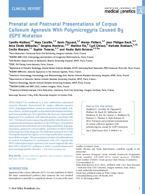 (PDF) Prenatal and postnatal presentations of corpus callosum agenesis ...