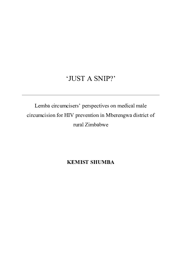 (PDF) Just a snip?' : Lemba circumcisers' perspectives on medical male ...