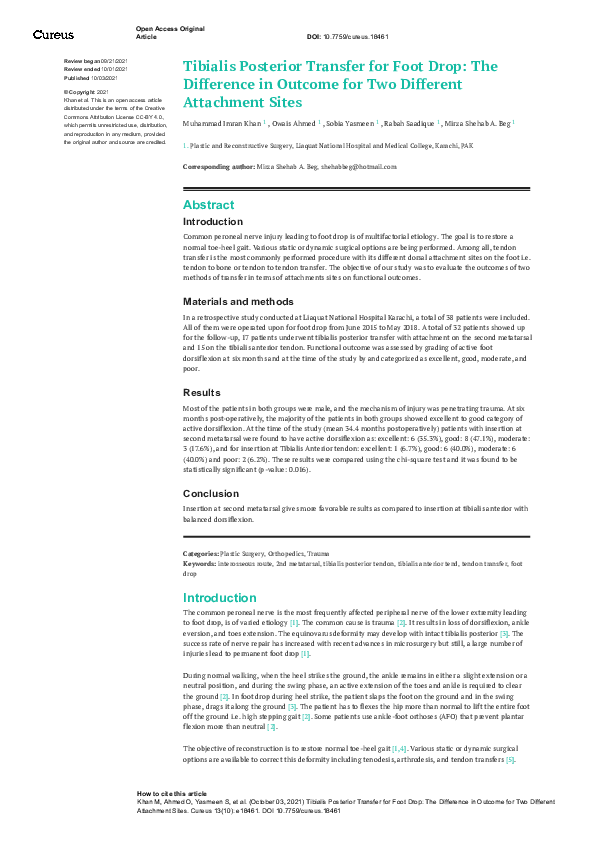 (PDF) Tibialis Posterior Transfer for Foot Drop: The Difference in ...