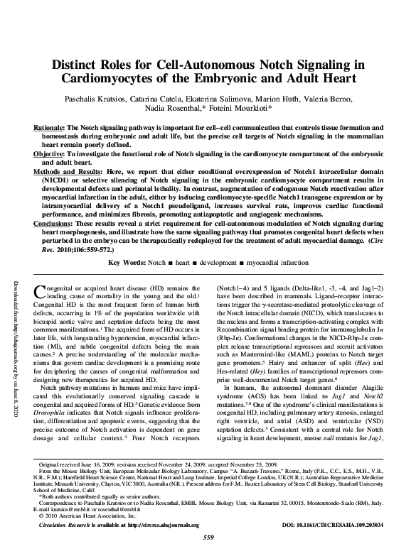 (PDF) Distinct Roles for Cell-Autonomous Notch Signaling in ...