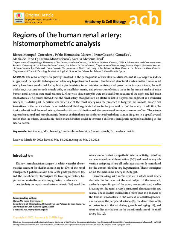 (PDF) Regions of the human renal artery: histomorphometric analysis