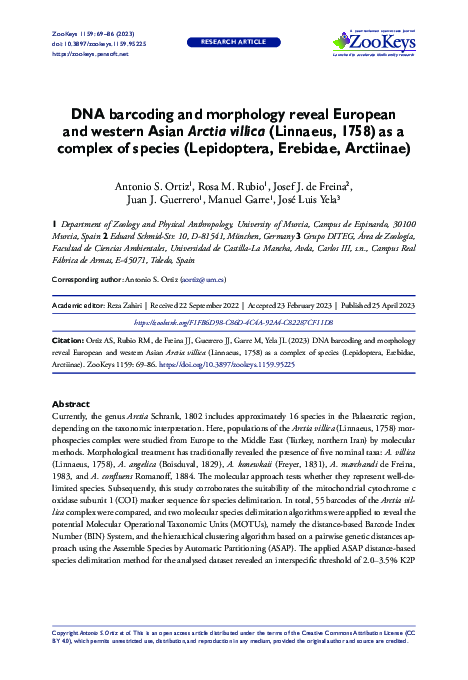 (PDF) DNA barcoding and morphology reveal European and western Asian Arctia villica (Linnaeus ...