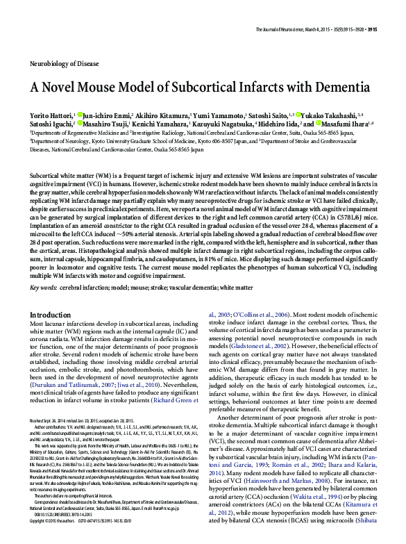 (PDF) A novel mouse model of subcortical infarcts with dementia