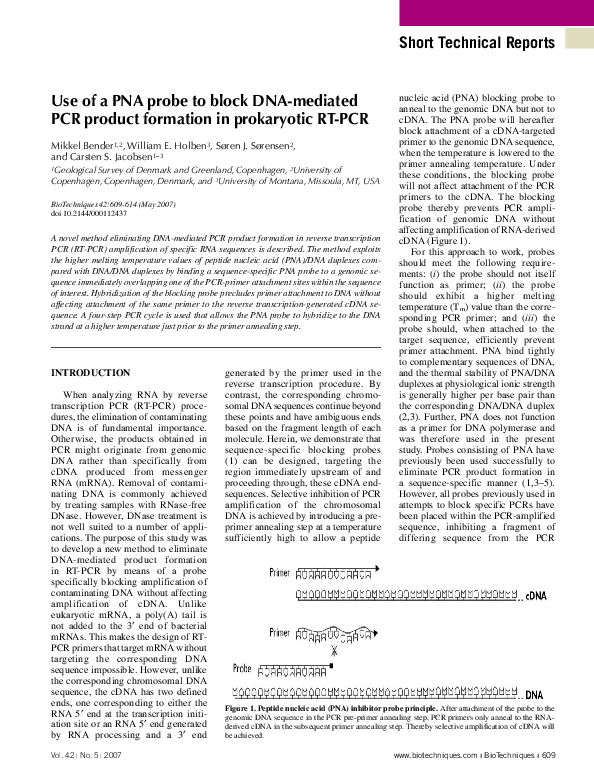 (PDF) Use of a PNA probe to block DNA-mediated PCR product formation in ...