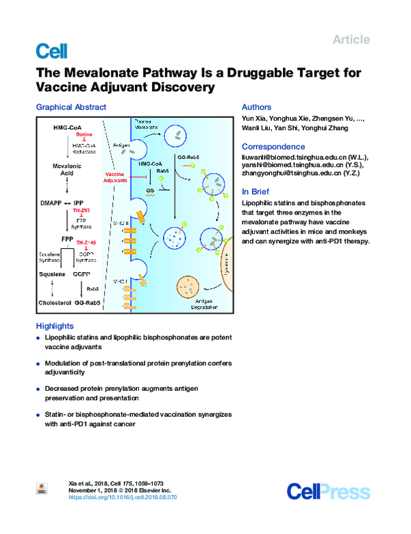 (PDF) The Mevalonate Pathway Is a Druggable Target for Vaccine Adjuvant ...