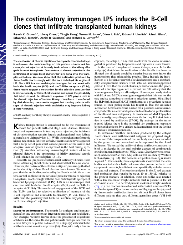 (PDF) The costimulatory immunogen LPS induces the B-Cell clones that ...