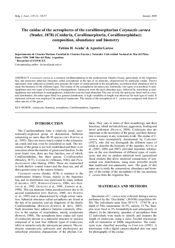 (PDF) The cnidae of the acrospheres of the corallimorpharian Corynactis ...
