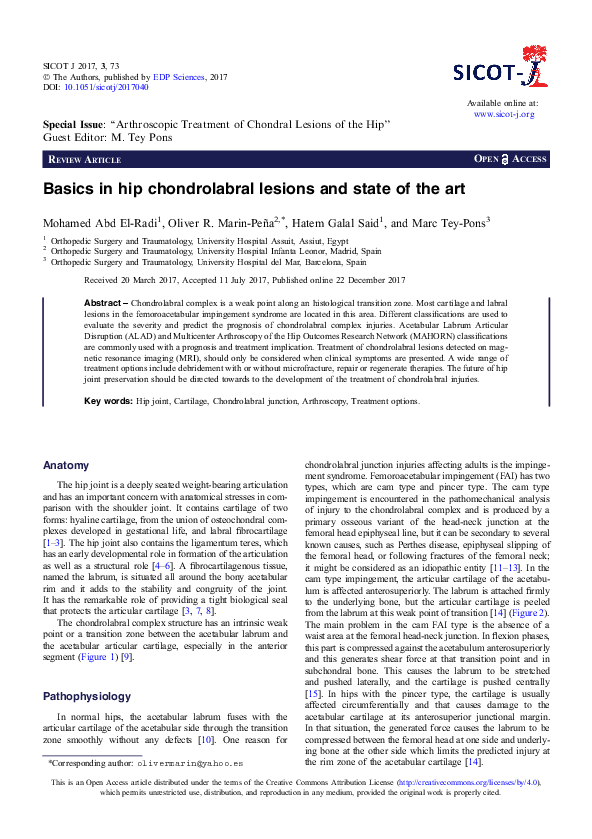 (PDF) Basics in hip chondrolabral lesions and state of the art