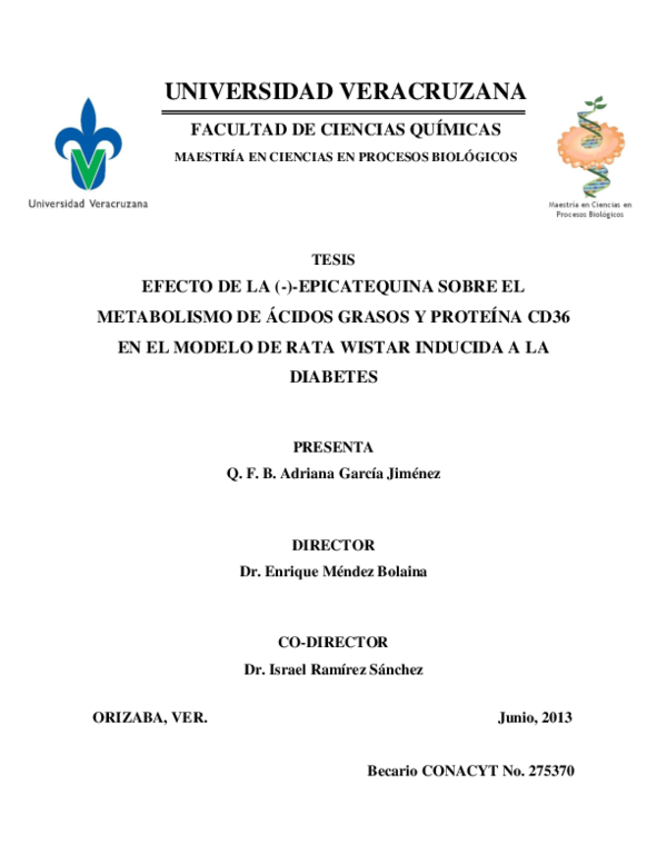 (PDF) Efecto de la (-)-epicatequina sobre el metabolismo de ácidos ...