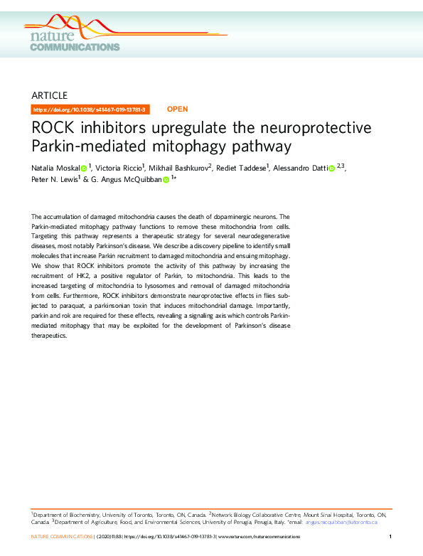 (PDF) ROCK inhibitors upregulate the neuroprotective Parkin-mediated ...