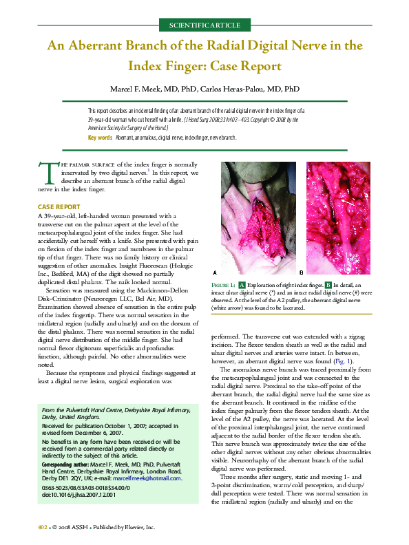 (PDF) An Aberrant Branch of the Radial Digital Nerve in the Index ...