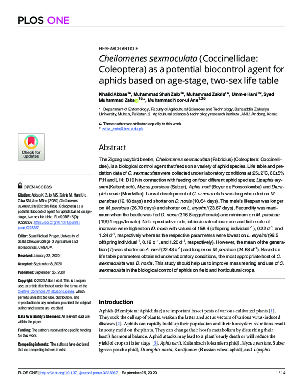 (PDF) Cheilomenes sexmaculata: A Biocontrol Agent for Aphids