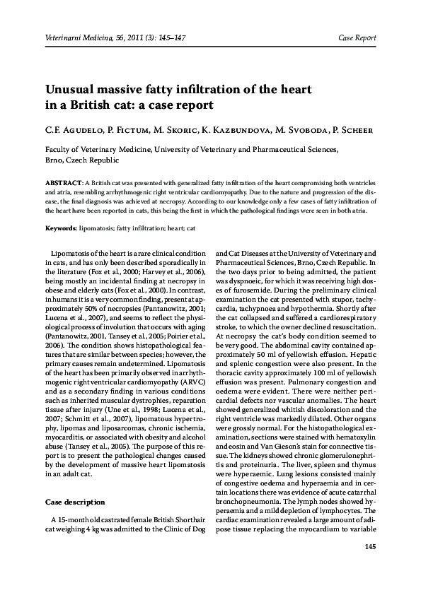 (PDF) Unusual massive fatty infiltration of the heart in a British cat ...