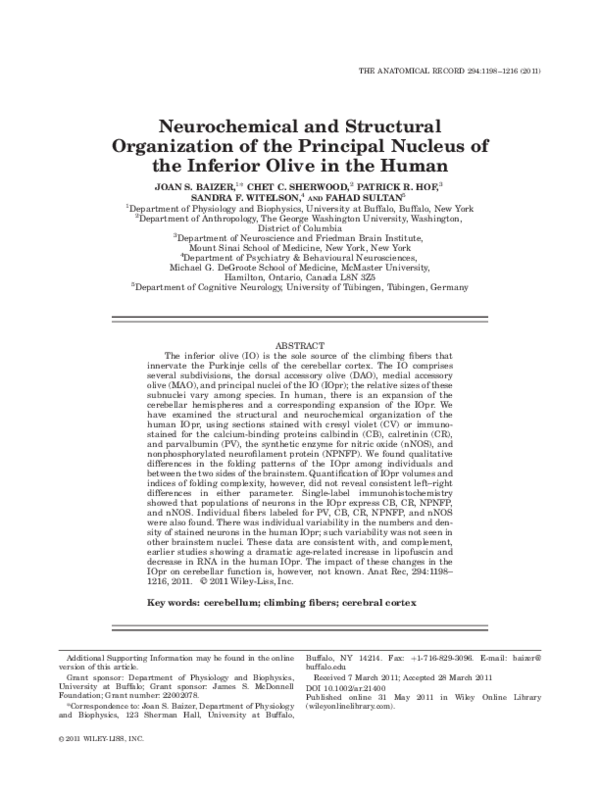 (PDF) Neurochemical and Structural Organization of the Principal ...