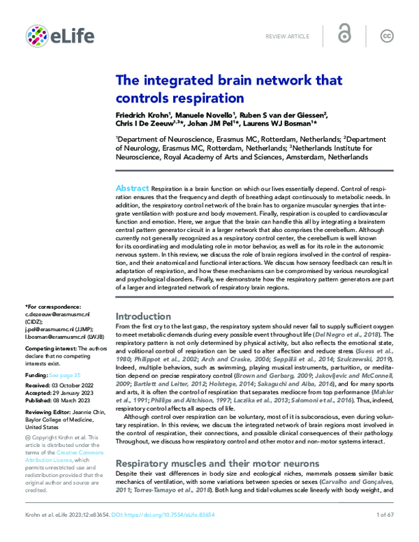 (PDF) The integrated brain network that controls respiration