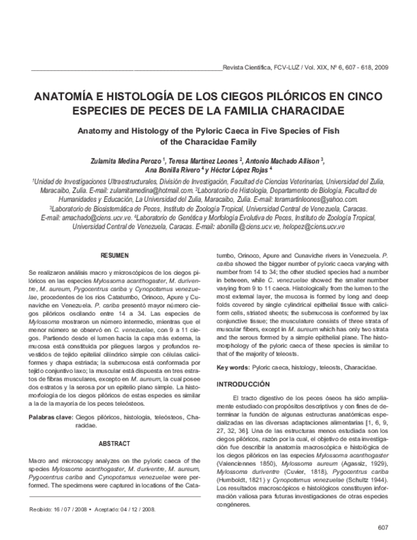 (PDF) Anatomy and histology of the pyloric caeca in five species of ...