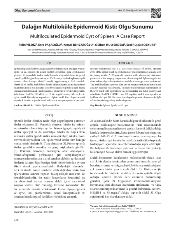 (PDF) Multiloculated epidermoid cyst of spleen: a case report