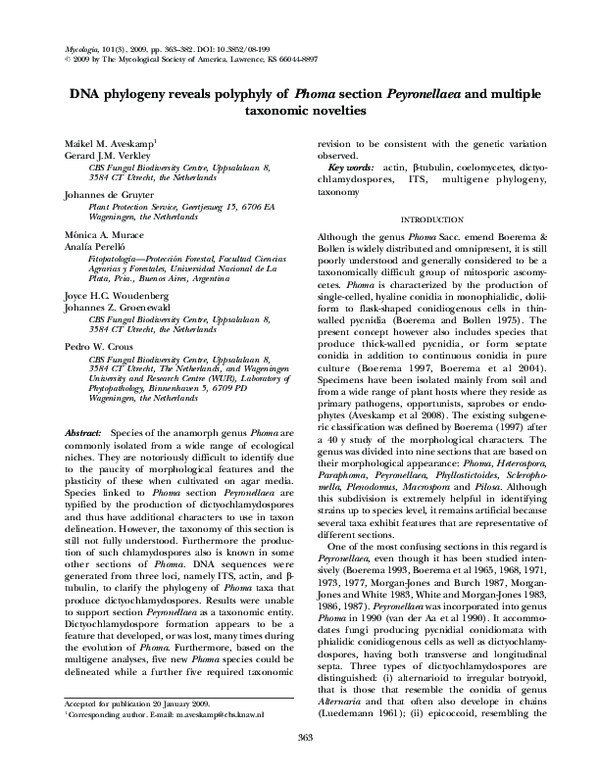 (PDF) DNA phylogeny reveals polyphyly ofPhomasectionPeyronellaeaand ...